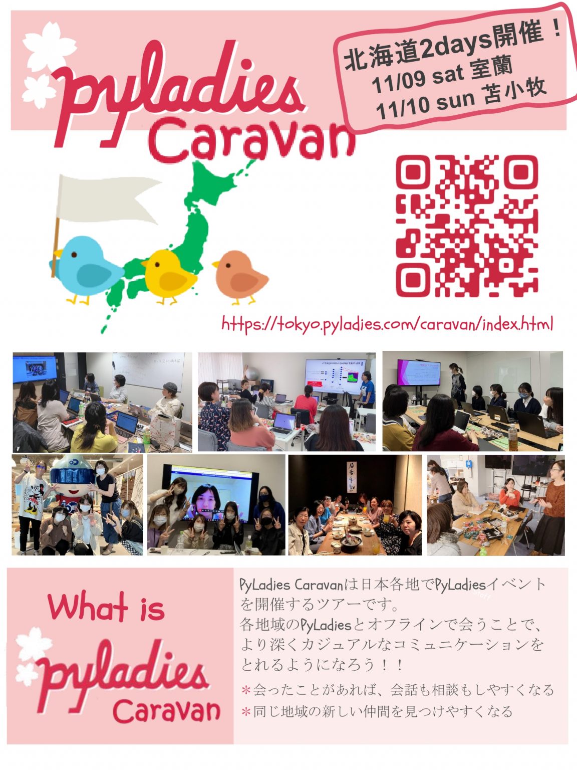 Pythonでデータ分析の体験イベント（女性限定）PyLadies Caravan in 室蘭を開催します | 国立大学法人 室蘭工業大学